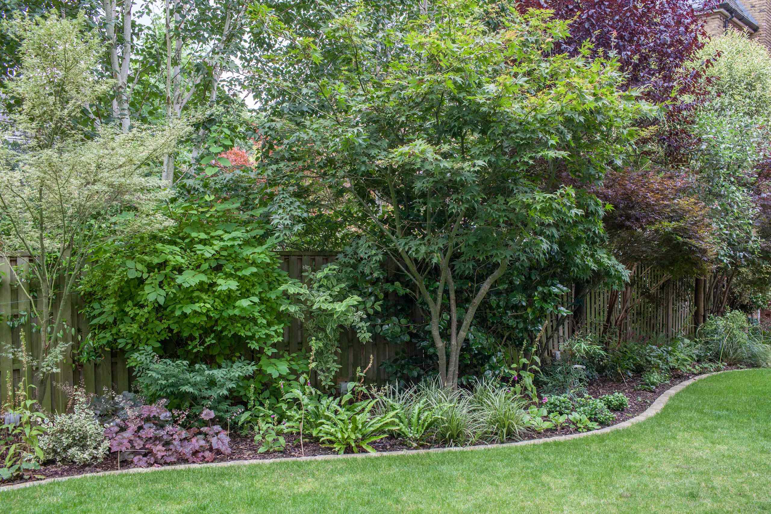 How to Join Two Gardens to Create One Seamless, Leafy Space | Houzz UK