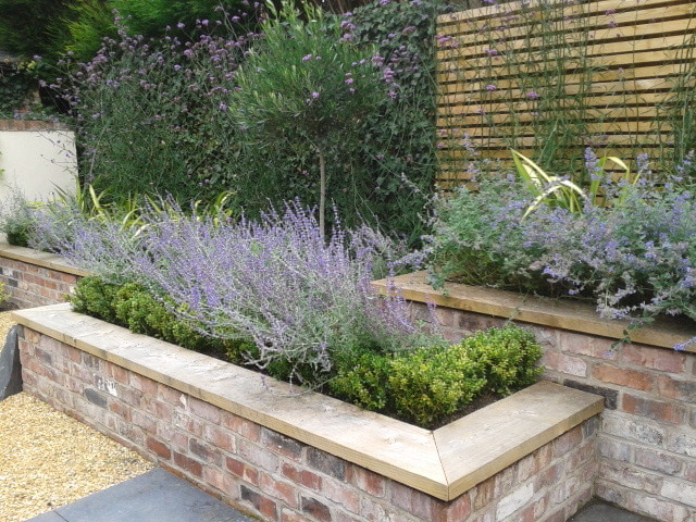 Wilmslow courtyard garden - Modern - Garden - Cheshire - by Topia ...