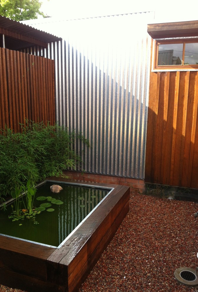 Wilson Street - コンテンポラリー - 庭 - ウーロンゴン - Bruce Condell Design | Houzz (ハウズ)