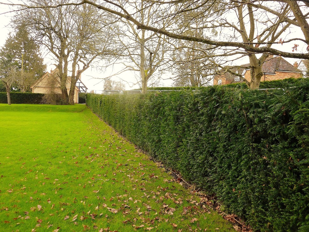 Yew Instant Hedge - Traditional - Landscape - Hampshire - by ...