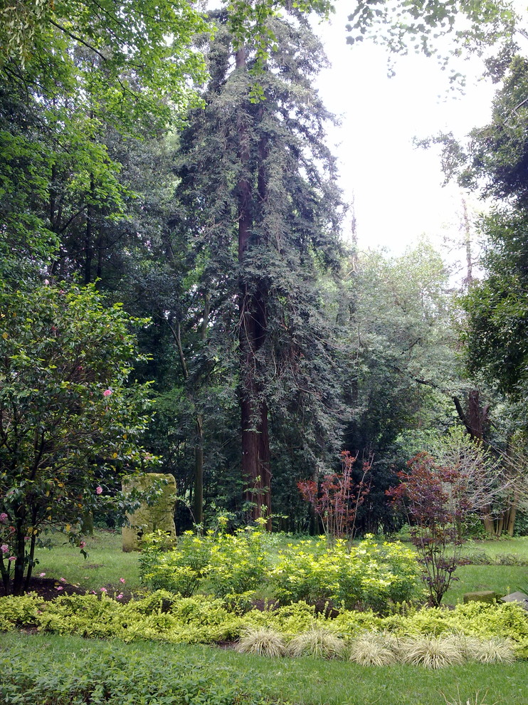 Restauro del Parco Chigi di Ariccia - Traditional - Landscape - Rome ...