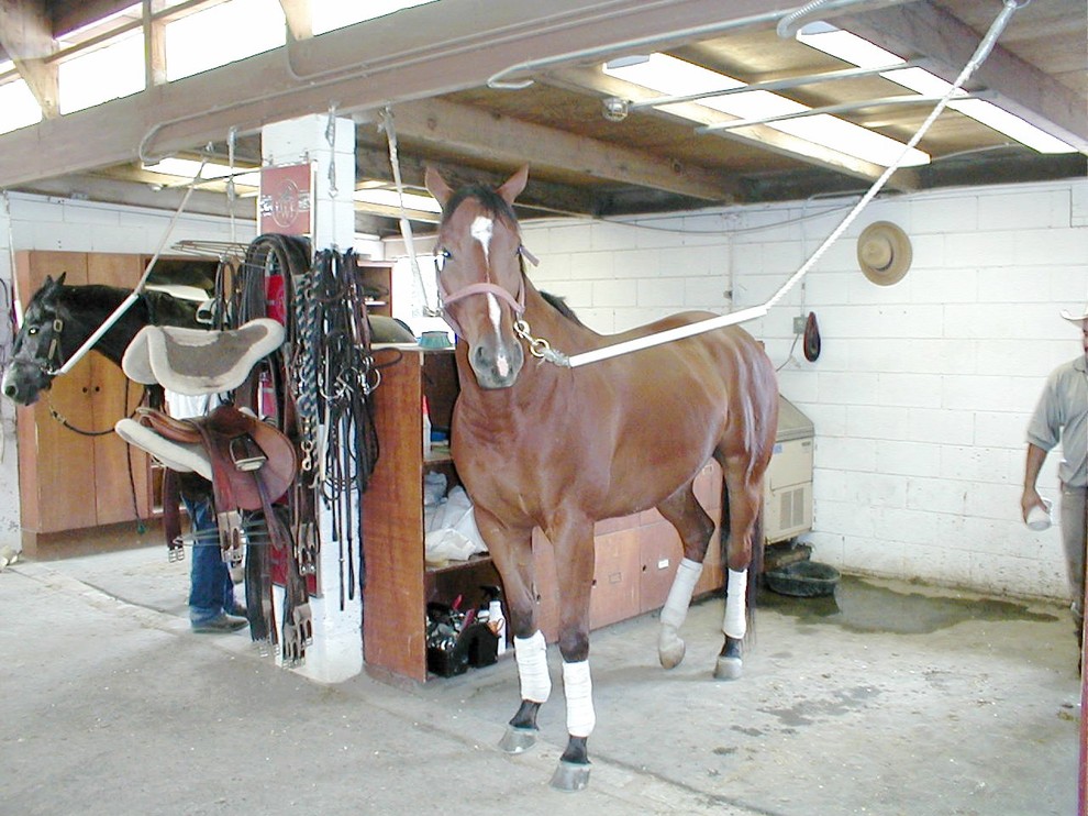 California Farm - Grooming Stalls - Traditional - Hall - San Francisco ...