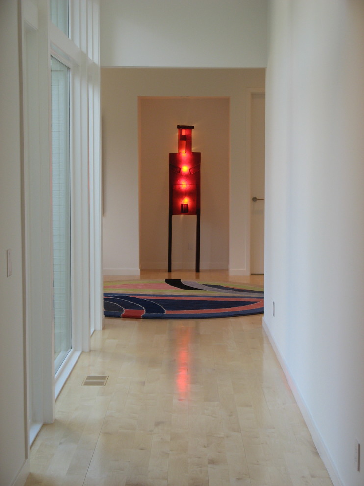 Custom Contemporary Home - Modern - Hall - Cincinnati - by Alto Design ...