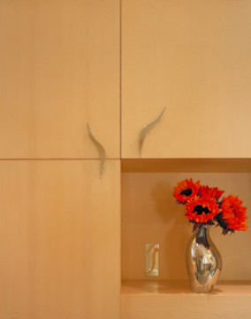 Debbas Architecture - Contemporary - Hall - San Francisco - by Charles ...