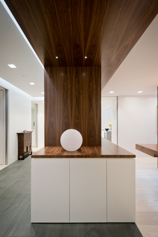 Entry Threshold - Modern - Hall - New York - by Resolution: 4 ...
