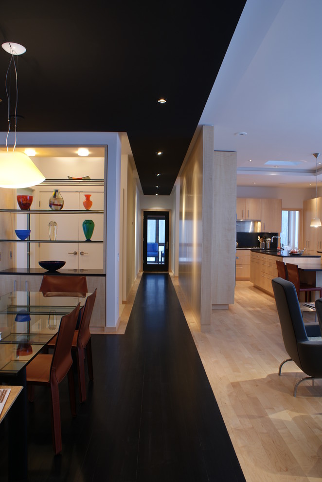 Eye-catching Hallway - Modern - Hall - Other - by Lankford Design Group ...
