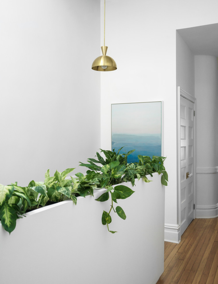 Hallway Planter - Modern - Hall - New York - by OAD Interiors | Houzz