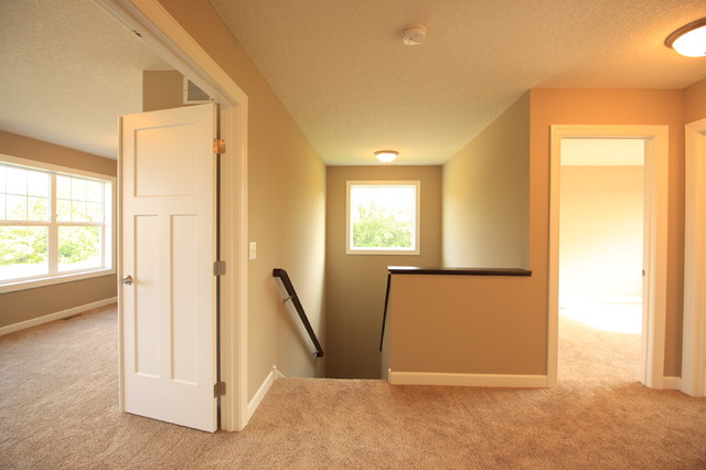Look out Basement 2 story - Traditional - Hallway & Landing ...