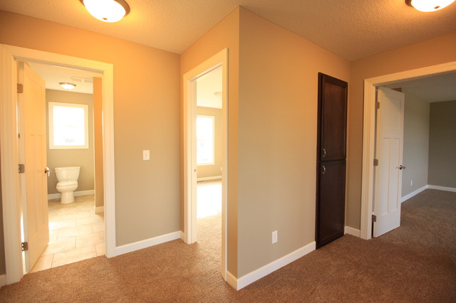 Look out Basement 2 story - Traditional - Hallway & Landing ...