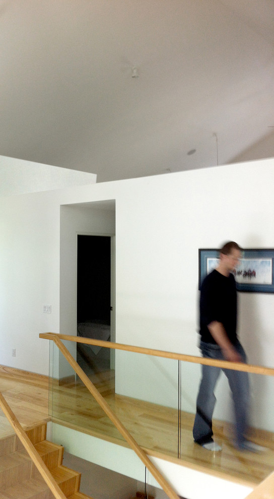 Lyndale House - Modern - Hall - Other - by Peter Sampson Architecture ...