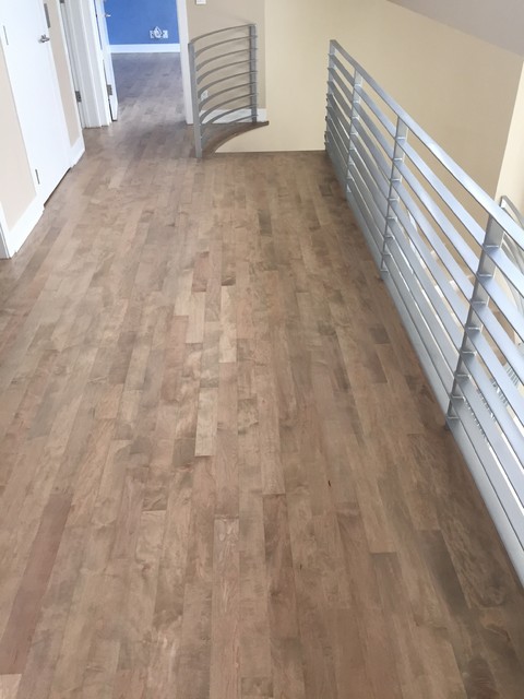 Grey Stained Maple Hardwood Floors | Floor Roma