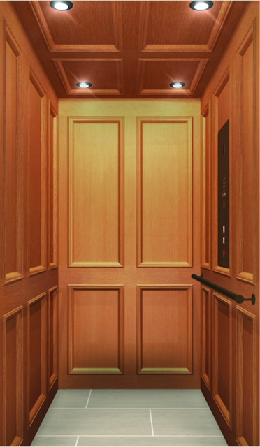 Traditional Elevators - Traditional - Hall - Houston - by Marchal ...