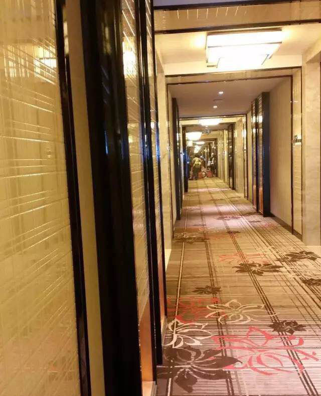 Veri Series in Solaire Hotel Project - Modern - Hallway & Landing ...