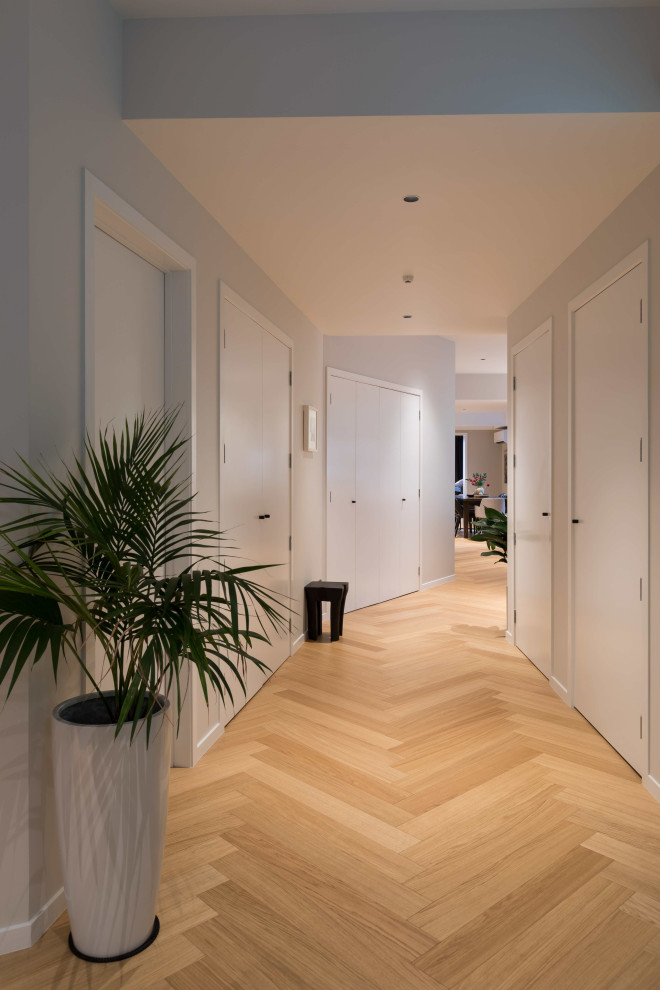 Waterloo Quadrant Apartment Conversion - Modern - Hall - Auckland - by ...