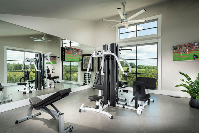 Glass House Gym Home Gym Designed By Woulfe Ltd