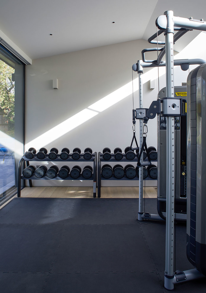 Gymnasium Annexe : Roehampton, SW15 - Contemporary - Home Gym - London ...