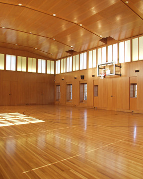Private Indoor Basketball Court - Traditional - Home Gym - Boston - by ...