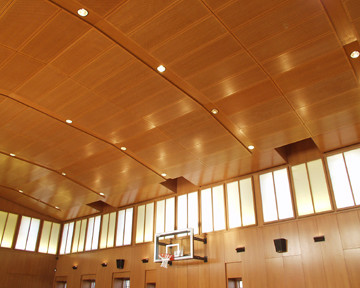 Private Indoor Basketball Court - Traditional - Home Gym - Boston - by ...