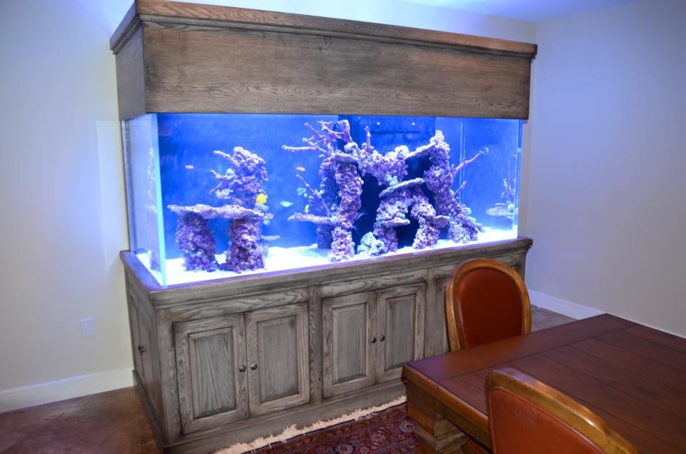Big Home Aquarium