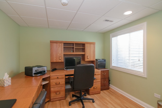 Carpentersville Basement Project - Modern - Home Office - Chicago - by ...