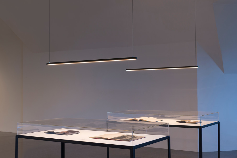 Cirrus Channel Suspension Light - Contemporary - Home Office - Chicago ...