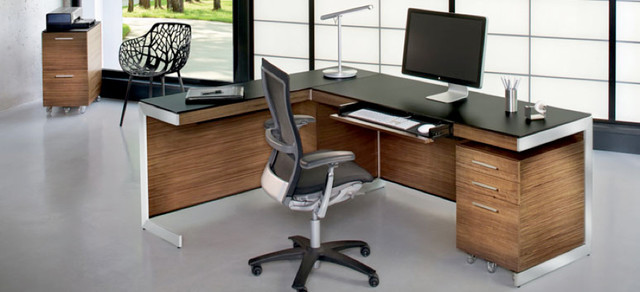 Dane Decor Office Space - Contemporary - Home Office - Philadelphia ...