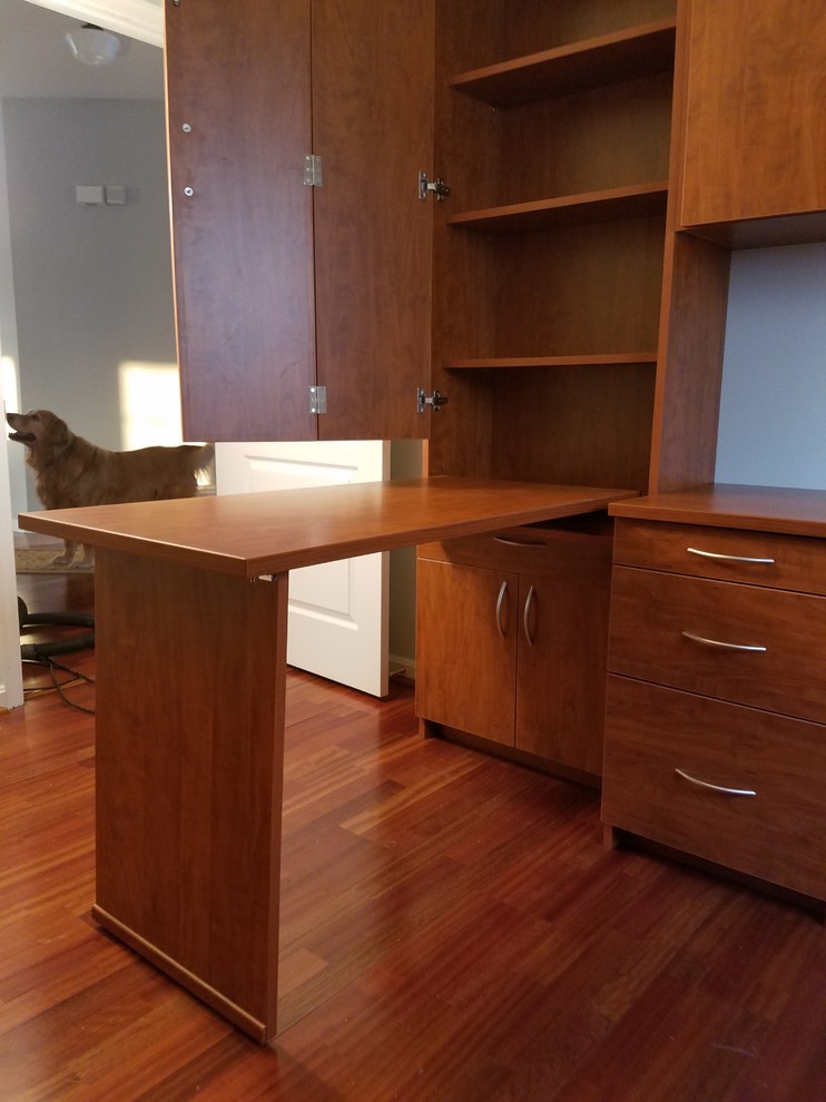 Home Office with a Murphy desk and Murphy Bed combo - Modern - Home ...