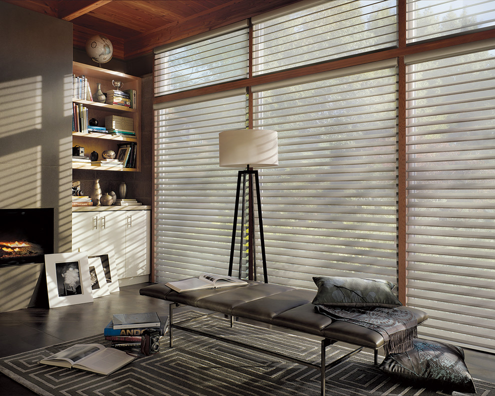 Hunter Douglas - Alustra® Collection - Transitional - Home Office ...