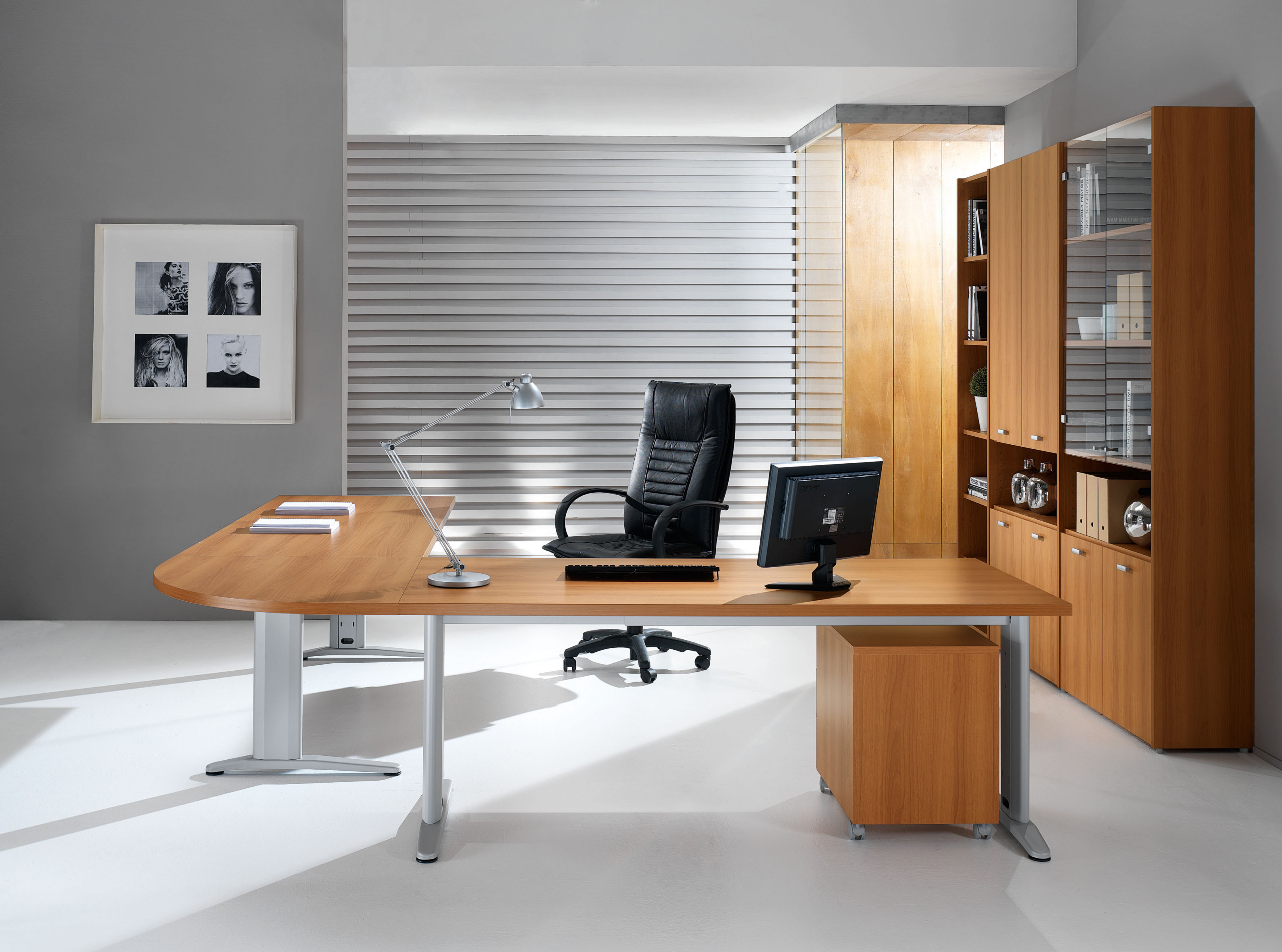 Modern Executive Office Suite