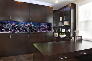 Fish Tanks In Apartments
