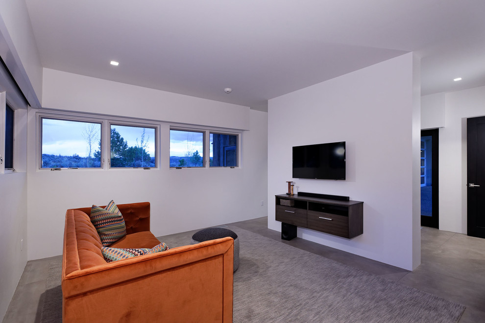 Artist Live/ Work /Display - Modern - Home Theater - Denver - by Jess ...