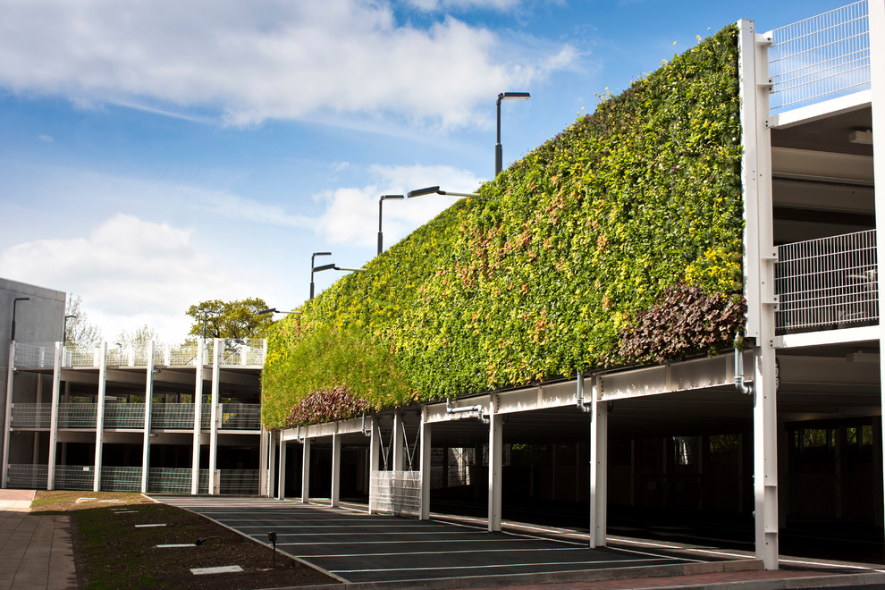 living wall - Contemporary - Exterior - London - by One-World Design ...