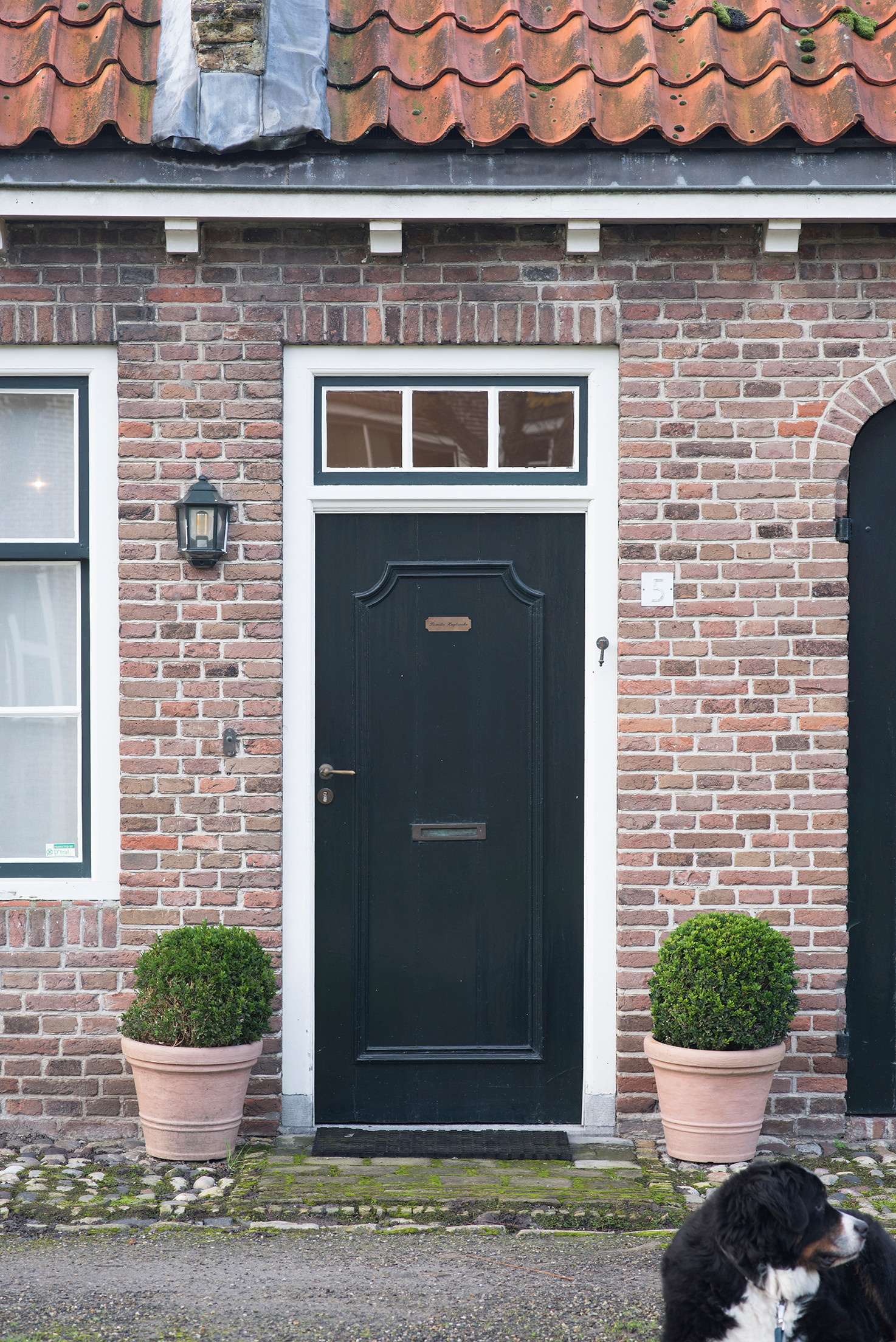 My Houzz: Contemporary Belgian Style Transforms a Dutch Country Cottage