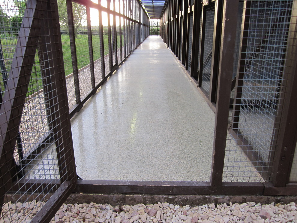 SEAMLESS POLYASPARTIC FLOOR INSTALLED IN CATTERY AT HEREFORD PROPERTY ...
