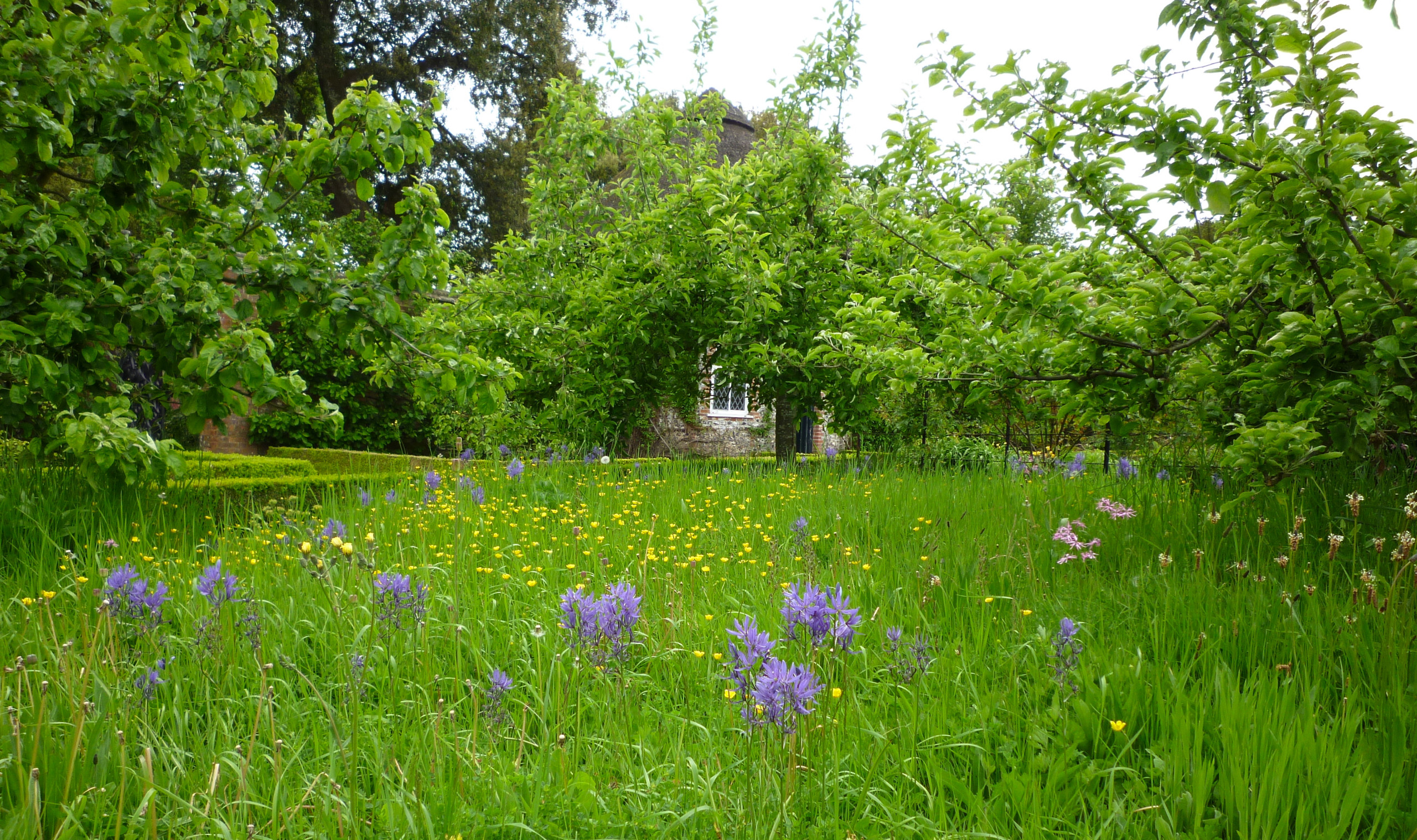 How to Design a Garden to Cope with Flood and Drought Conditions | Houzz IE