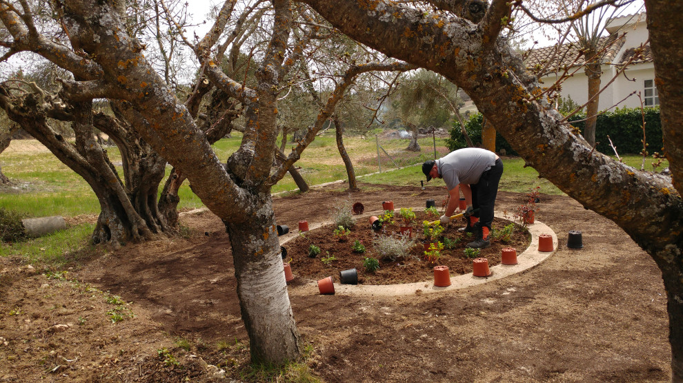 EL JARDÍN SIN RIEGO - Rustic - Landscape - Other - by Arcadia Jardines ...