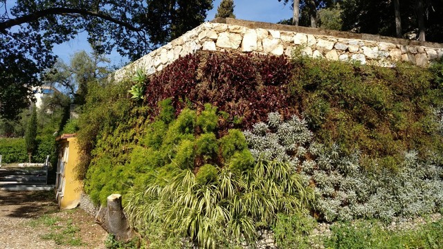 ESTABILIZACIÓN DE TALUD EN EL CEMENTERIO INGLÉS - Romántico - Jardín ...