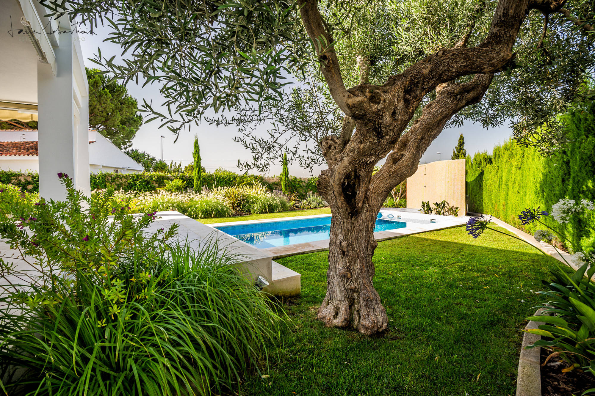 Paisajismo De Un Terreno Arbolado Cuáles Son Los Elementos De Un