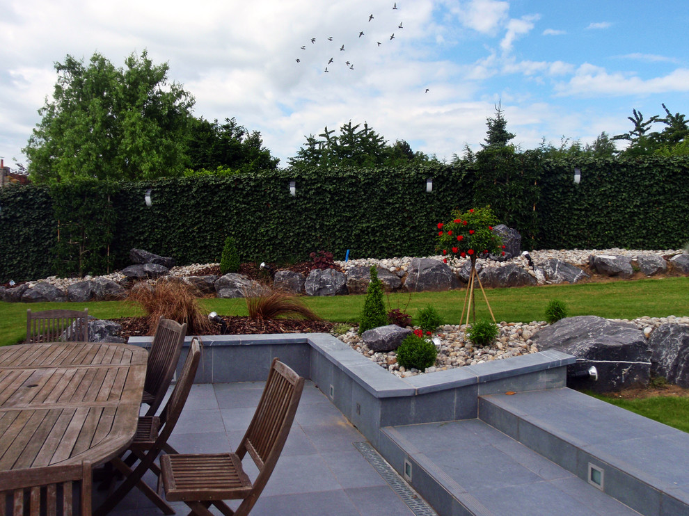 Clôture en lierre - Contemporáneo - Jardín - Lille - de Carnel Paysages ...