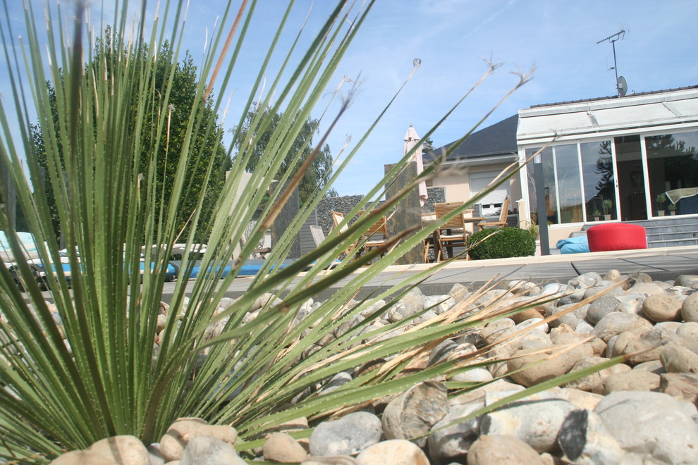 Galets de rivière et dassylirion - Contemporary - Landscape - Angers ...