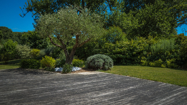 Jardin avec talus - Modern - Garden - Other - by Nathalie JEANNE ...