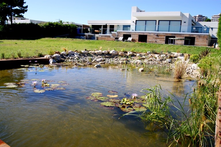 Le bassin aquatique d'un jardin en corniche à Marseille 13008 ...