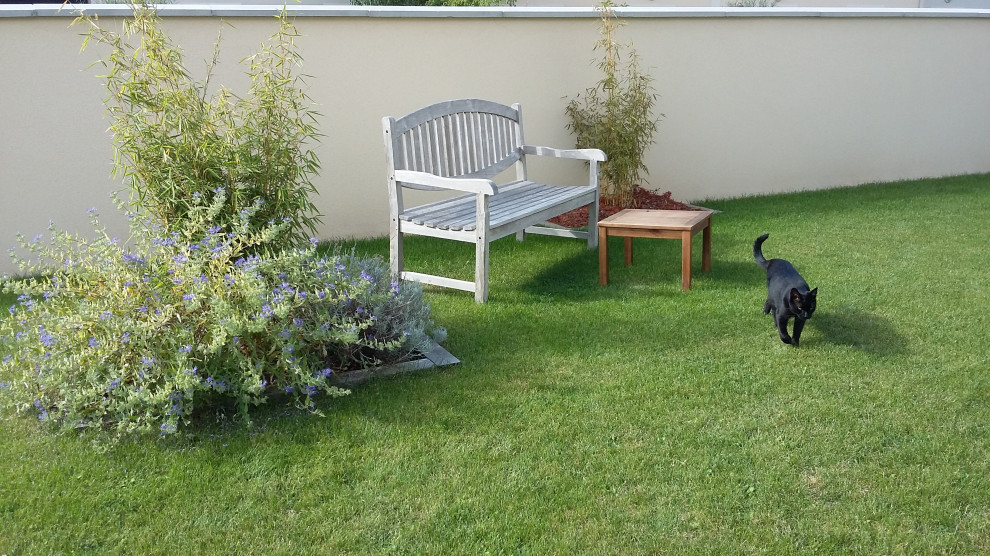 Même le chat aime le nouveau jardin ... - Contemporain - Jardin - Le Havre - par Hélène D'HONDT ...