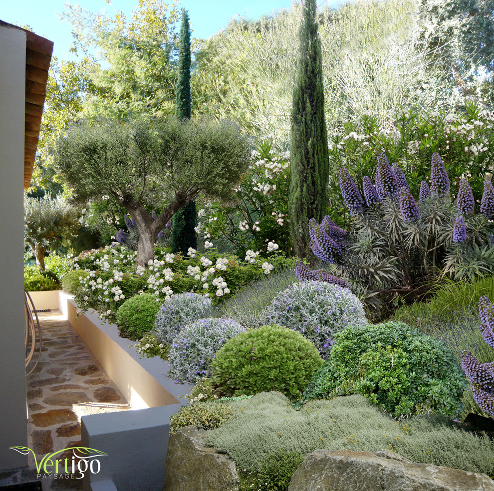 Talus à aménager - Accès maison - Plage piscine - Mediterranean ...