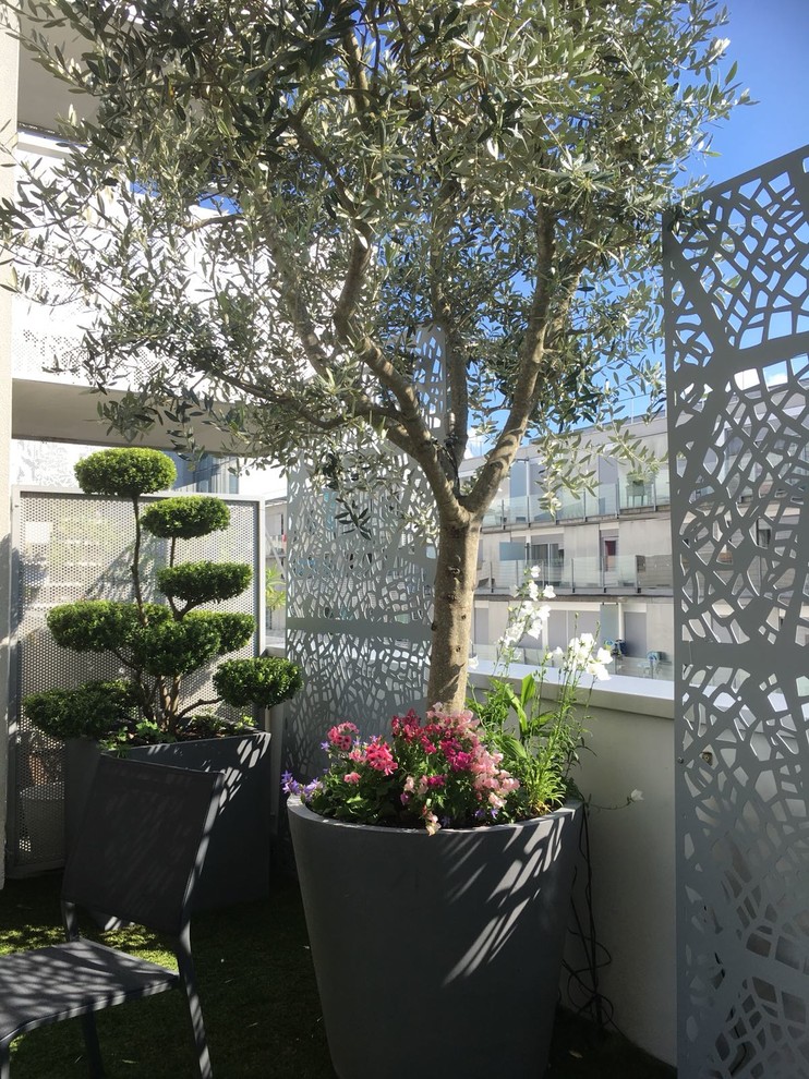 terrasse et balcon a Boulogne - Contemporary - Landscape - Paris - by ...