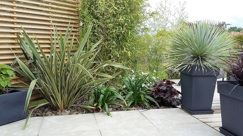Terrasse pierre naturelle et bois Collstrop - Landscape - Angers - by ...