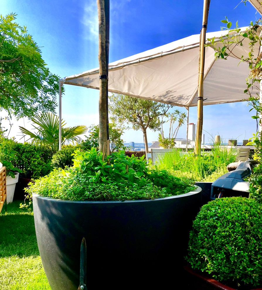 vegetalisation toit terrasse paris 16 - Contemporary - Landscape ...