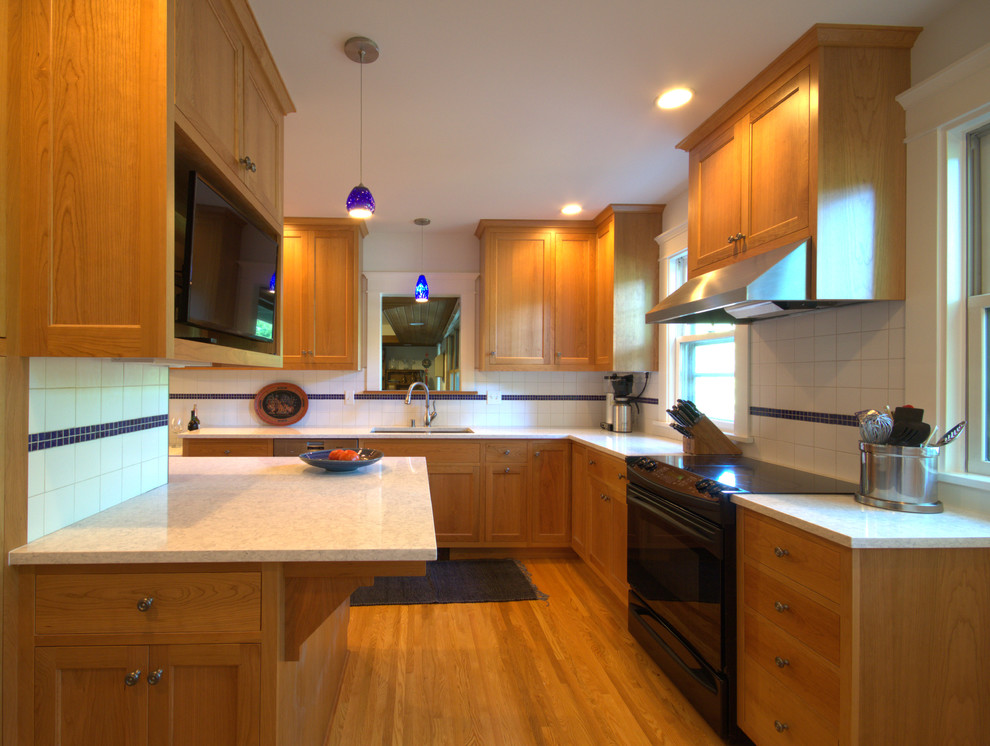 A Bright New Kitchen - Fusion - Kitchen - Minneapolis - by Ben Quie ...