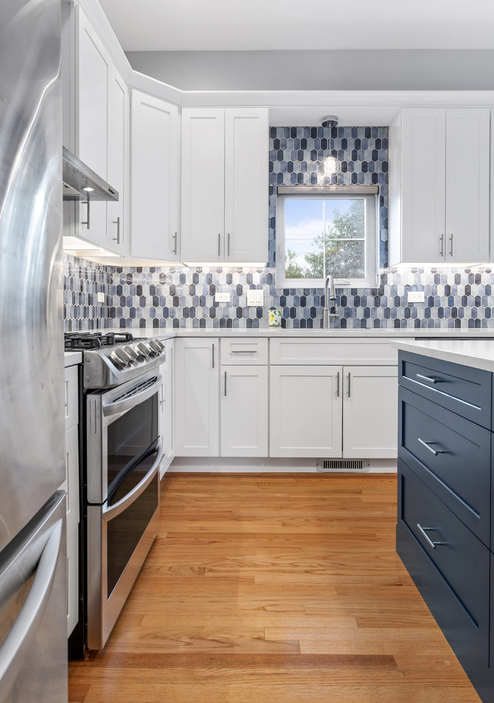 A Sleek, Modern Chicago Kitchen - Contemporary - Kitchen - Chicago - by ...