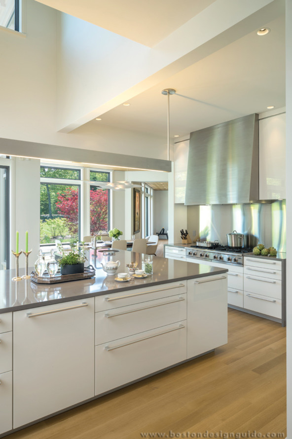 A Tale of Two Styles - Contemporary - Kitchen - Boston - by Boston ...